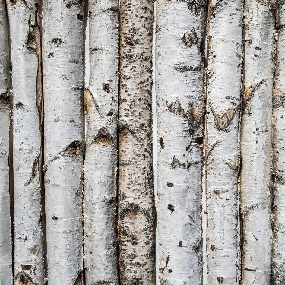 White Willow Bark Peeling Mask | Skincare Boulevard